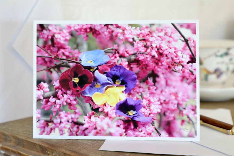 Purple Flowering Tree Stationery Set Redbud Tree Notecards - Etsy
