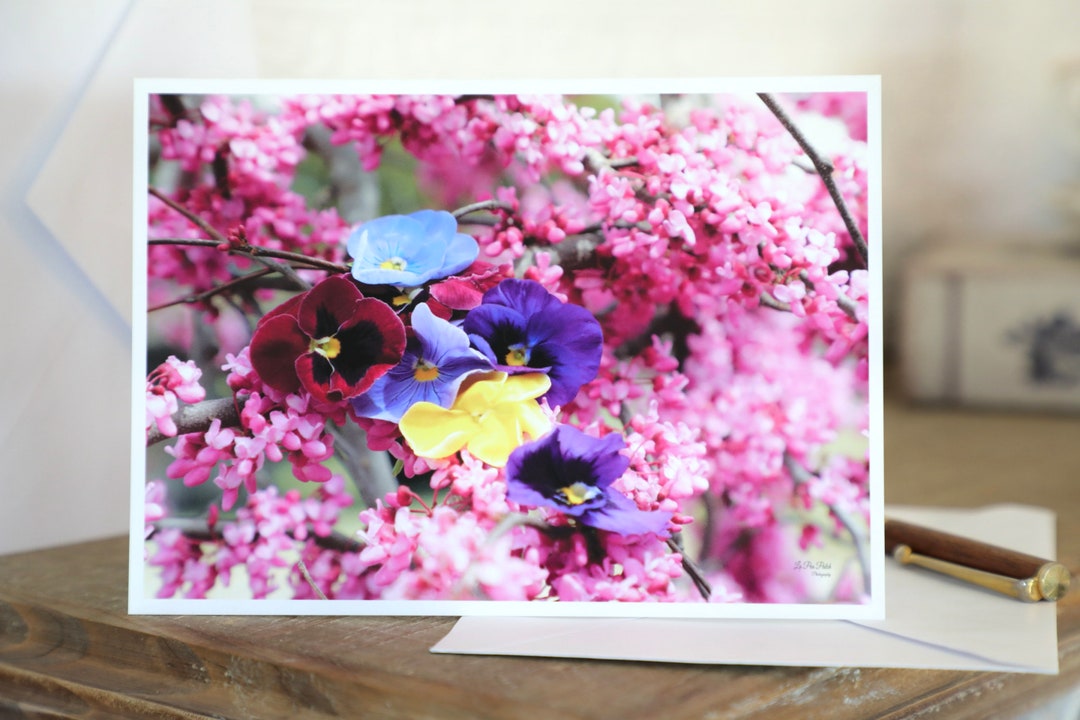 Purple Flowering Tree Stationery Set | Redbud Tree Notecards With ...