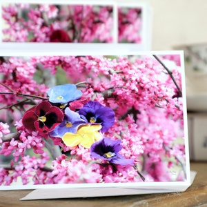 Purple Flowering Tree Stationery Set | Redbud Tree Notecards With ...
