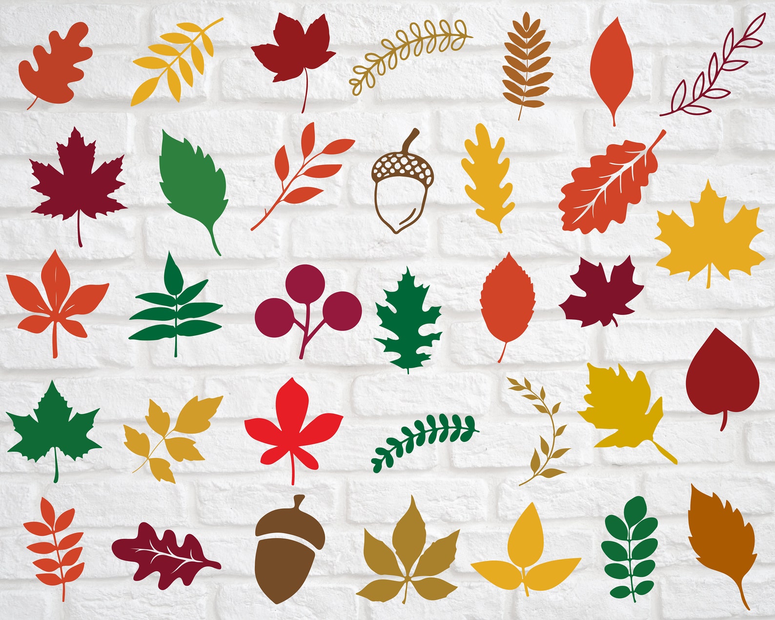 Fall Svg Autumn Svg Fall Bundle Svg Fall Cut File Autumn Cut | Etsy