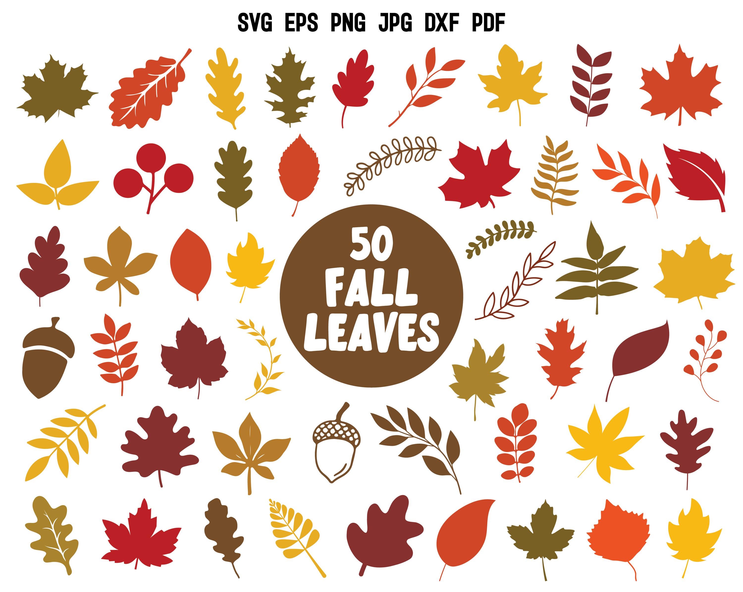 Fall Leaves SVG | Fall SVG | Fall Leaf SVG | Fall Clipart | Cut Files ...