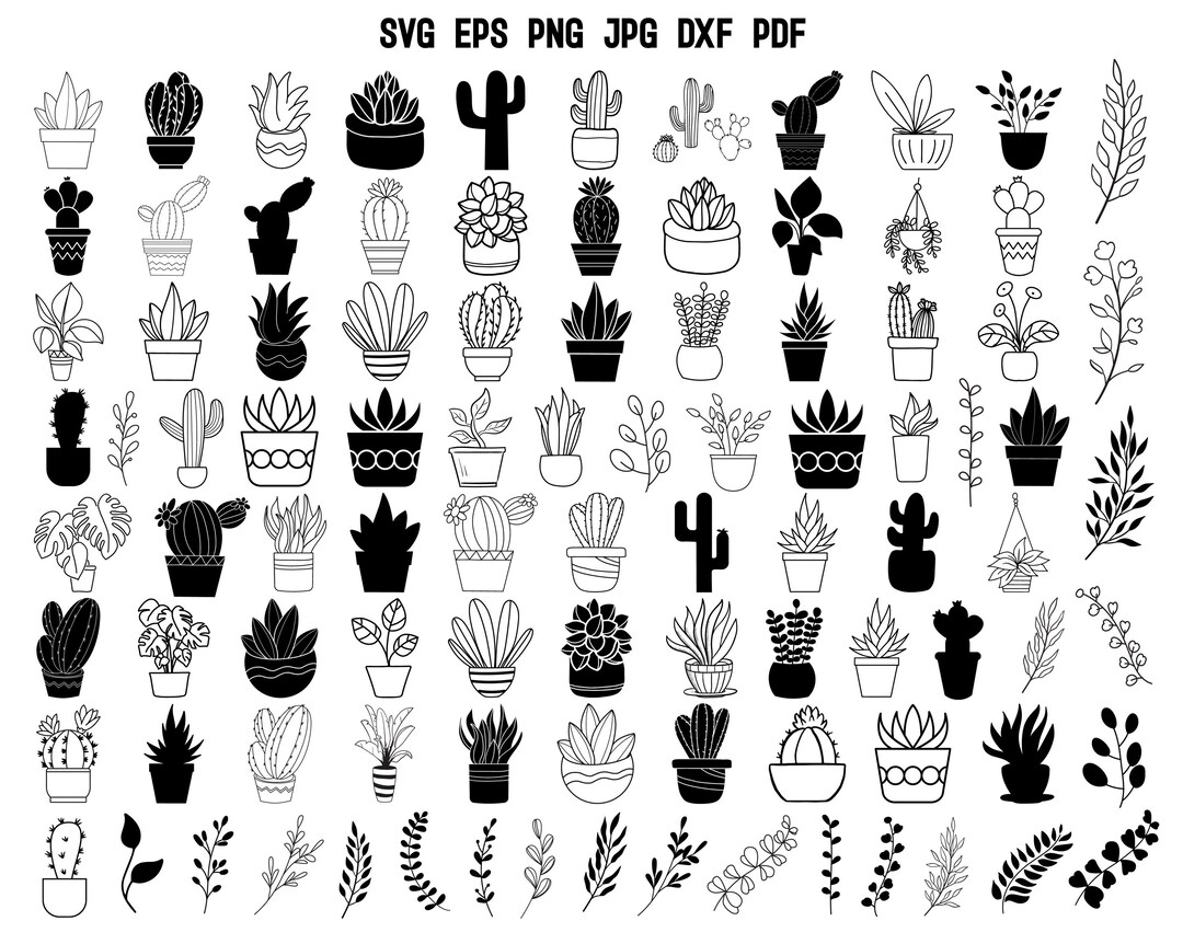 Plant SVG | Plant Lover SVG | Houseplant Svg | Plant Silhouette ...