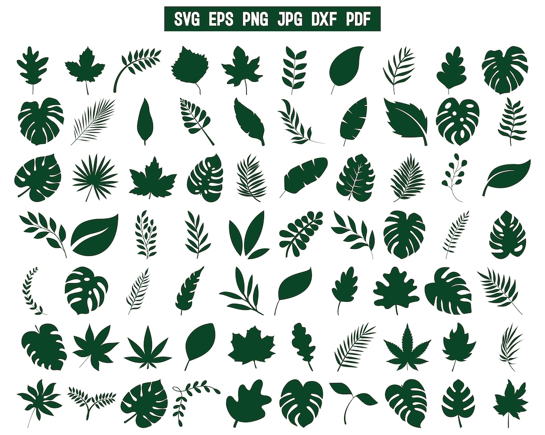 Leaves SVG | Paper Leaves SVG | Tropical Leaves SVG | Leaf Template Svg ...