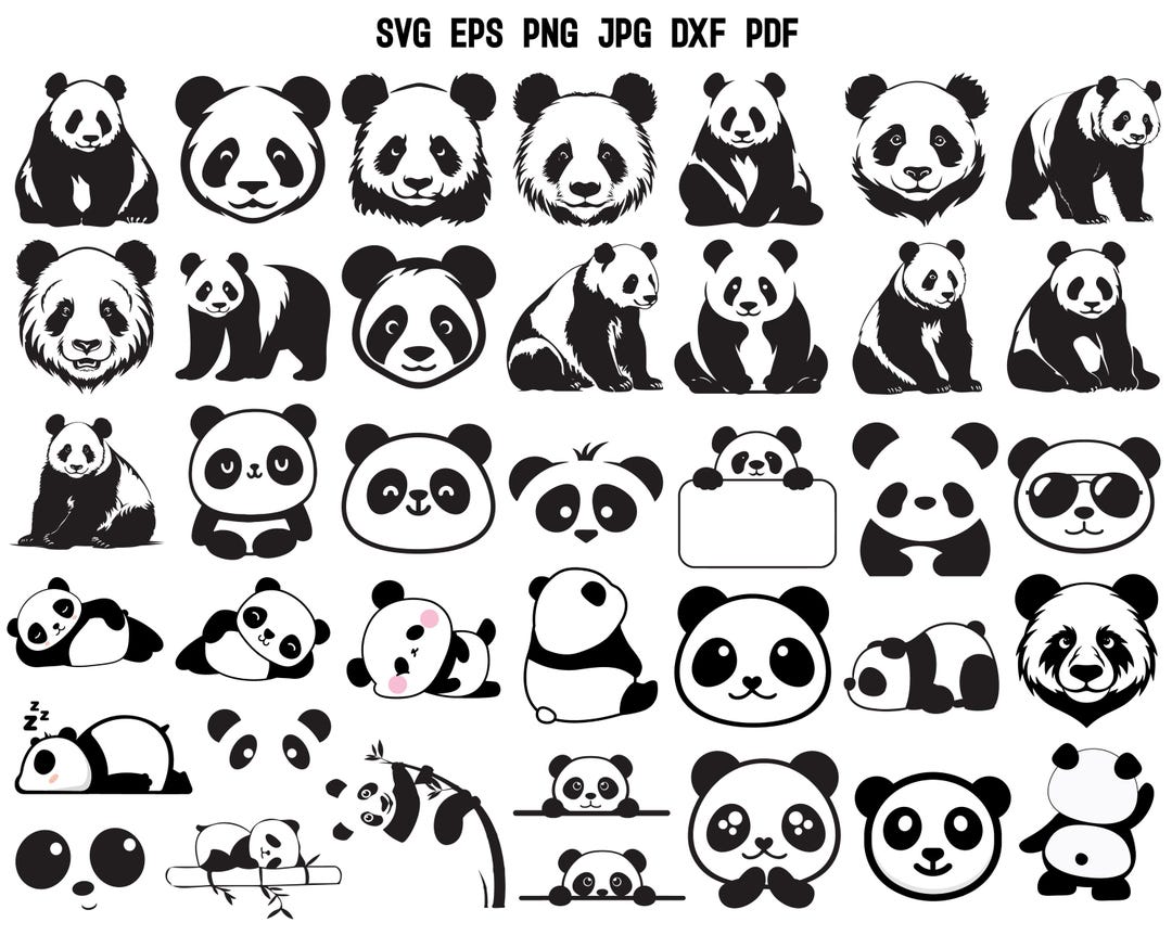 Panda SVG | Panda Silhouette | Panda Cricut | Cute Panda SVG | Animal ...
