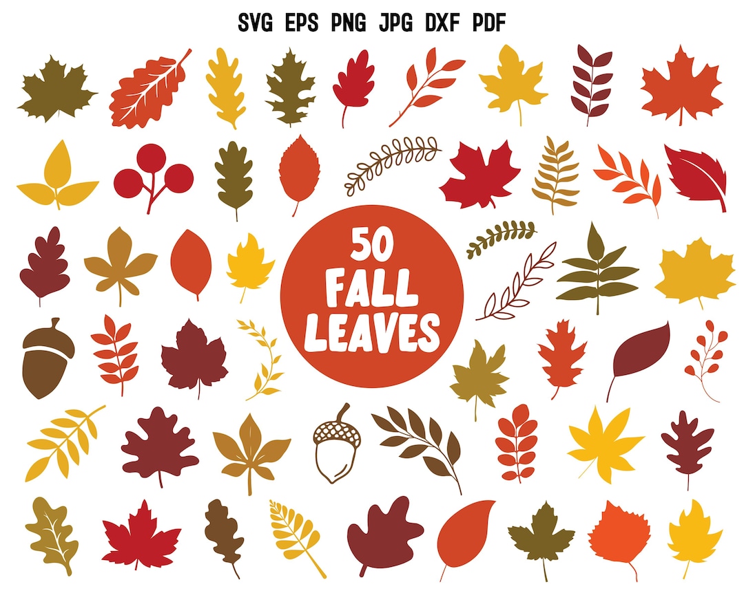 Fall Leaves SVG Bundle | Fall SVG | Autumn SVG | Fall Leaf Cut File ...