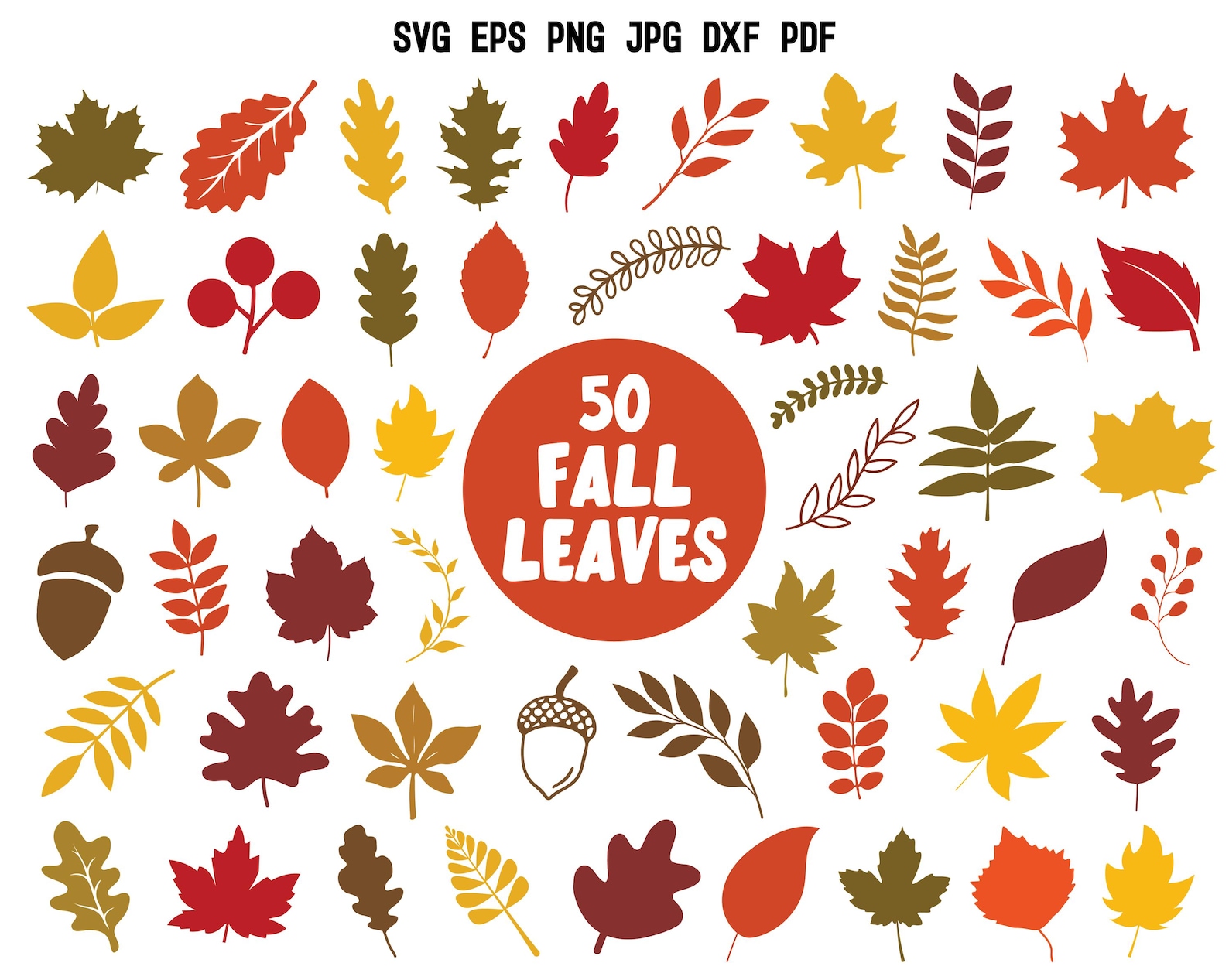 Fall Leaves SVG Bundle | Fall SVG | Autumn SVG | Fall Leaf Cut File ...