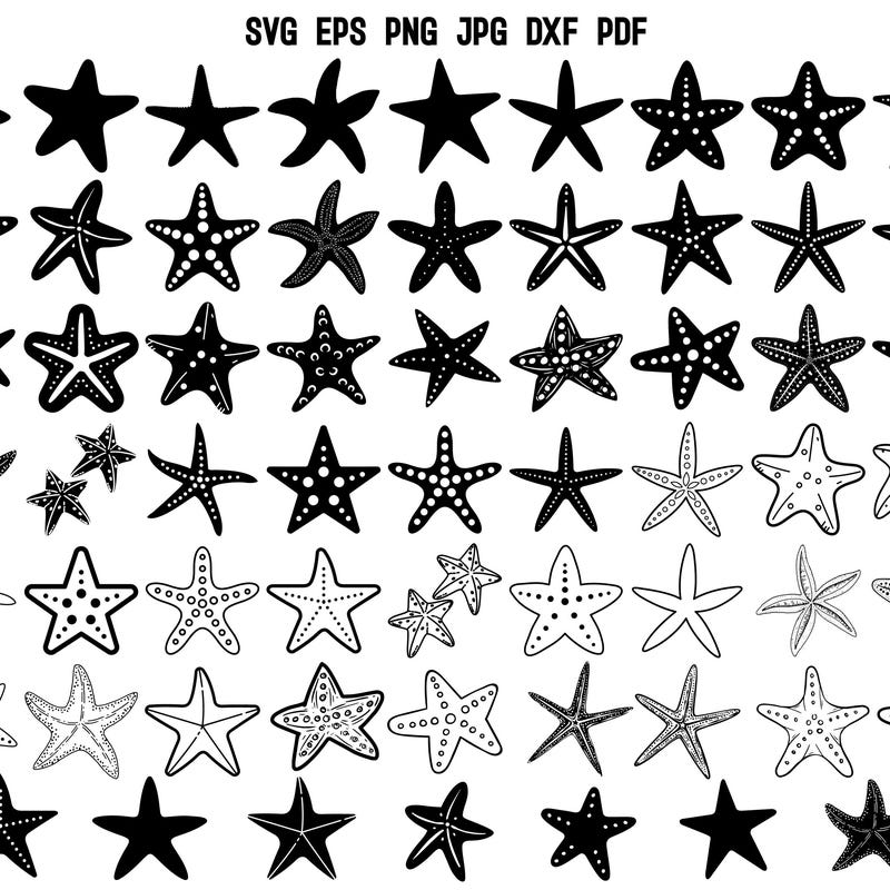 White Sea Shell Decals - Etsy