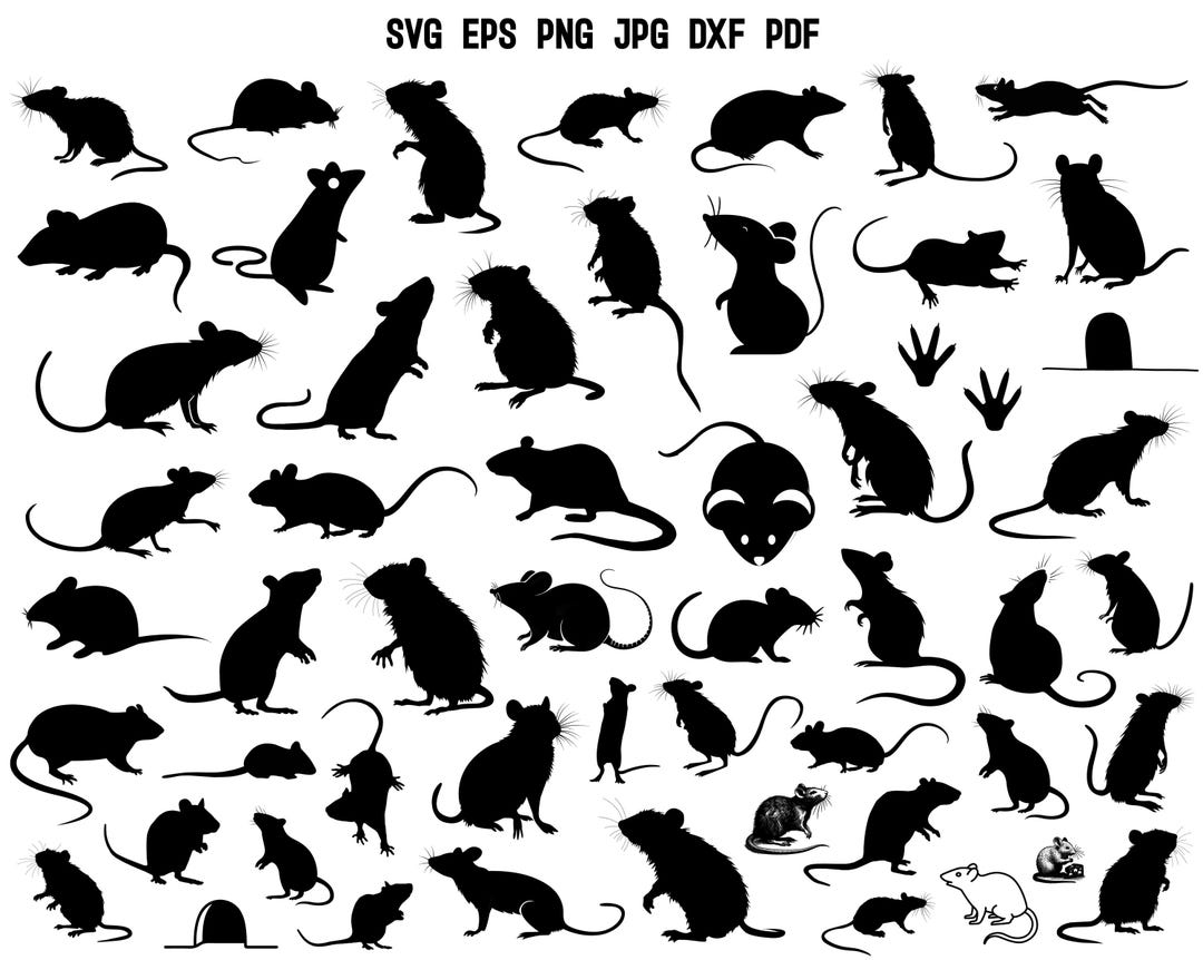 Rat SVG | Rat Cut File | Rat Cricut | Rat Clipart | Rat Silhouette ...