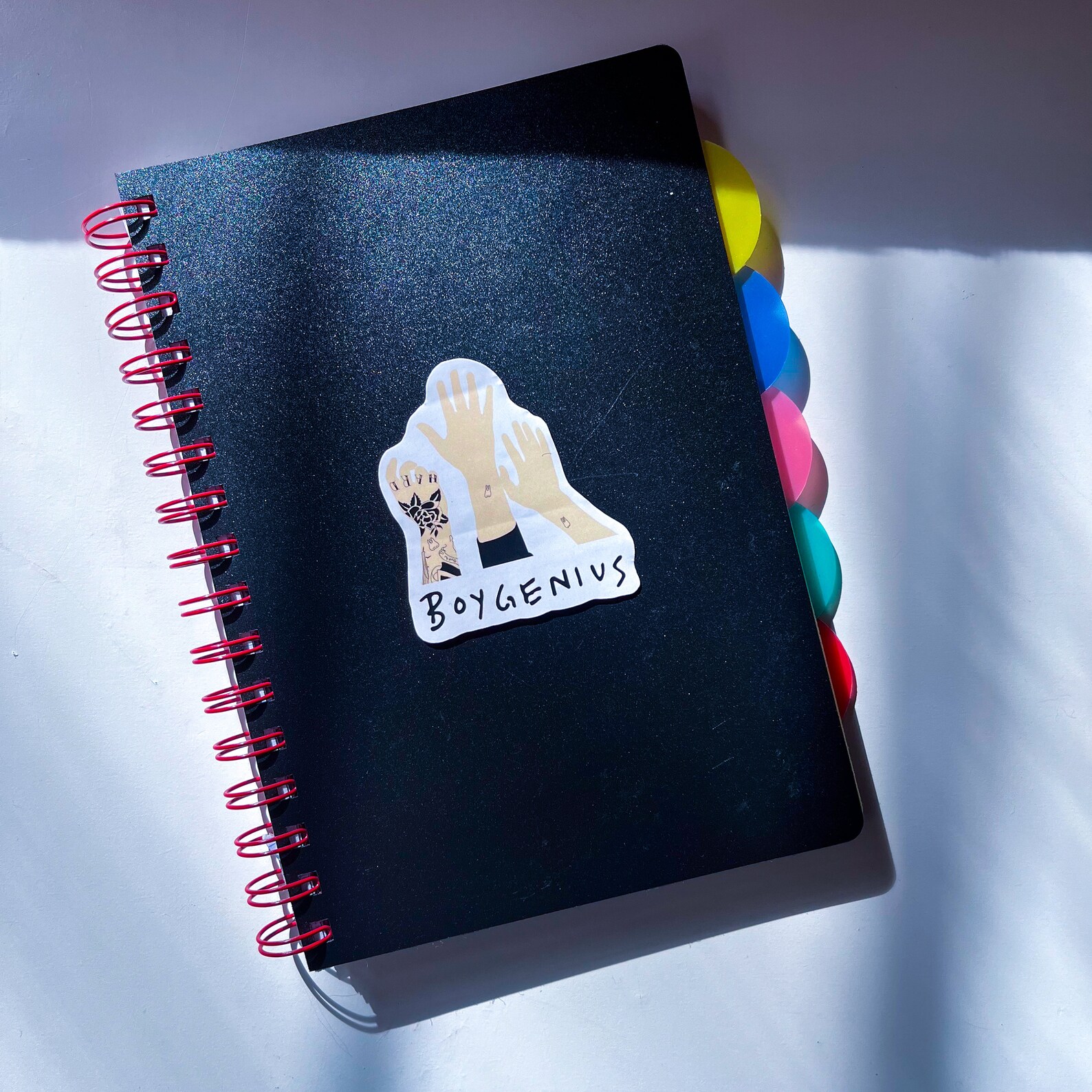 The Record – Boygenius Sticker Pack - Etsy