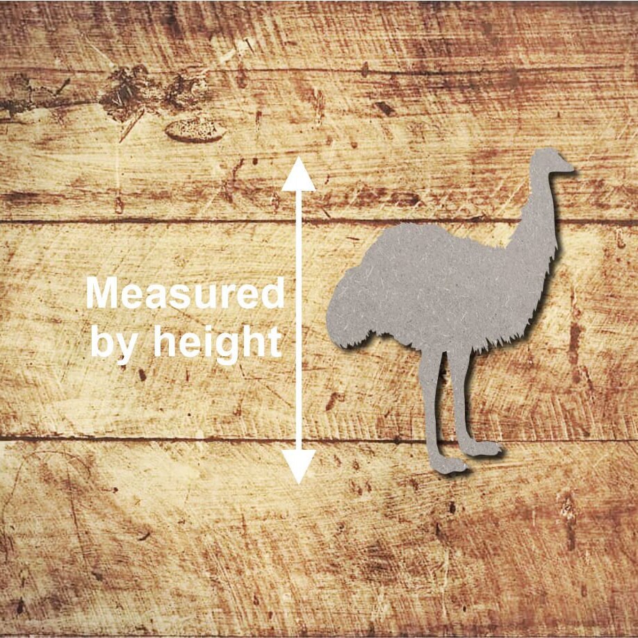 Emu Shape Various Sizes Unfinished MDF Wood Cutout Shapes - Etsy Australia
