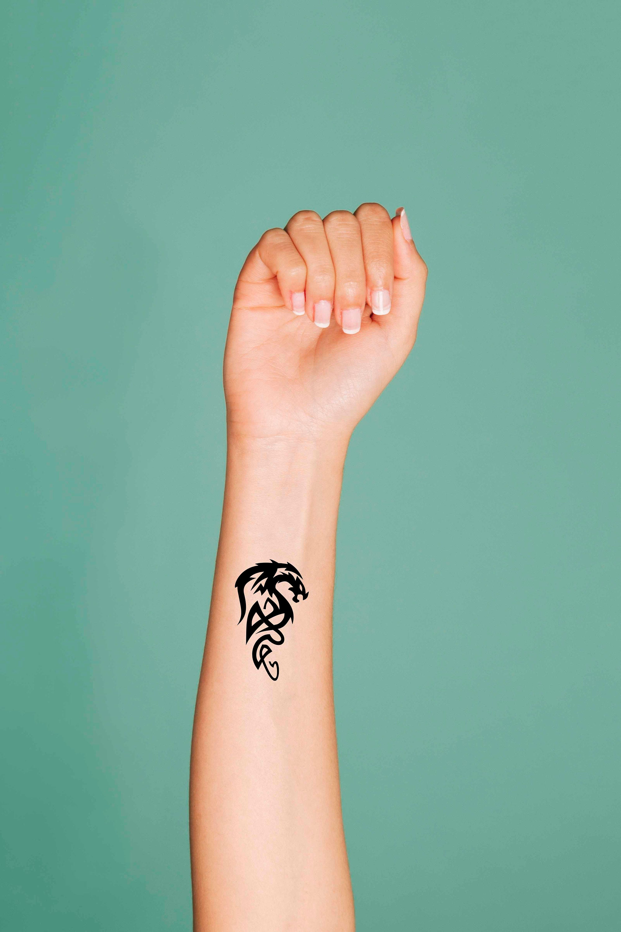 Printable Dragon Bundle, 40 Designs, SVG, EPS, DXF, Png, Cricut ...