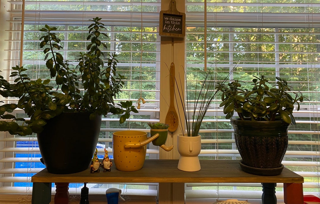 Over the Sink Plant Stand - Etsy