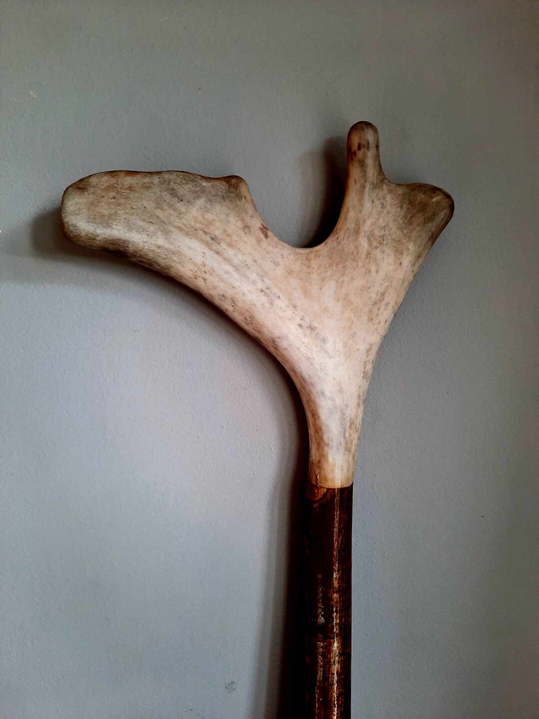 Handmade Thumb Walking Stick Antler on Varnished Hazel With Brass ...
