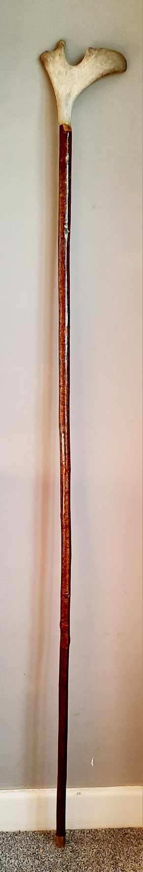 Handmade Thumb Walking Stick Antler on Varnished Hazel With Brass ...