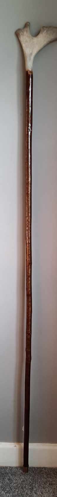 Handmade Thumb Walking Stick Antler on Varnished Hazel With Brass ...