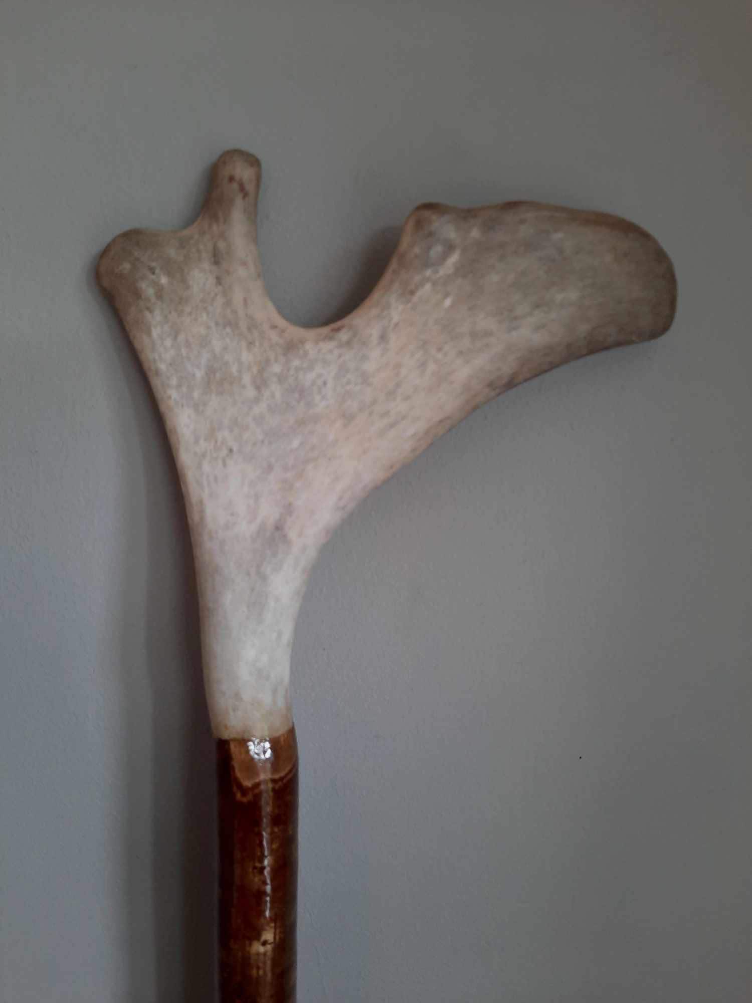 Handmade Thumb Walking Stick Antler on Varnished Hazel With Brass ...