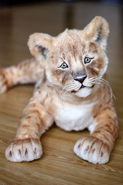Lion Cub Simba-57cm. Wild Cat, Lion Cub Baby, Wild Animals, OOAK Toys ...