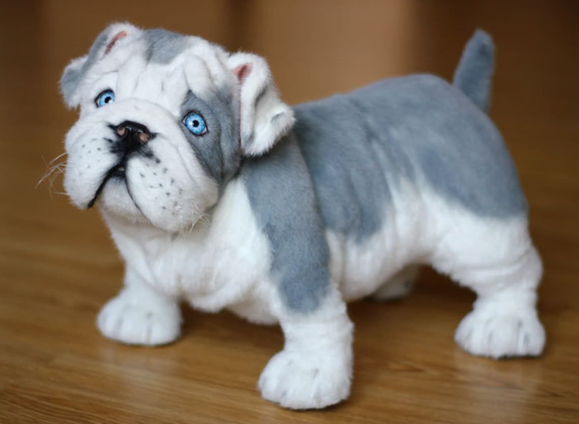 English bulldog puppy Bulldog Realistic Stuffed toy Bulldog | Etsy