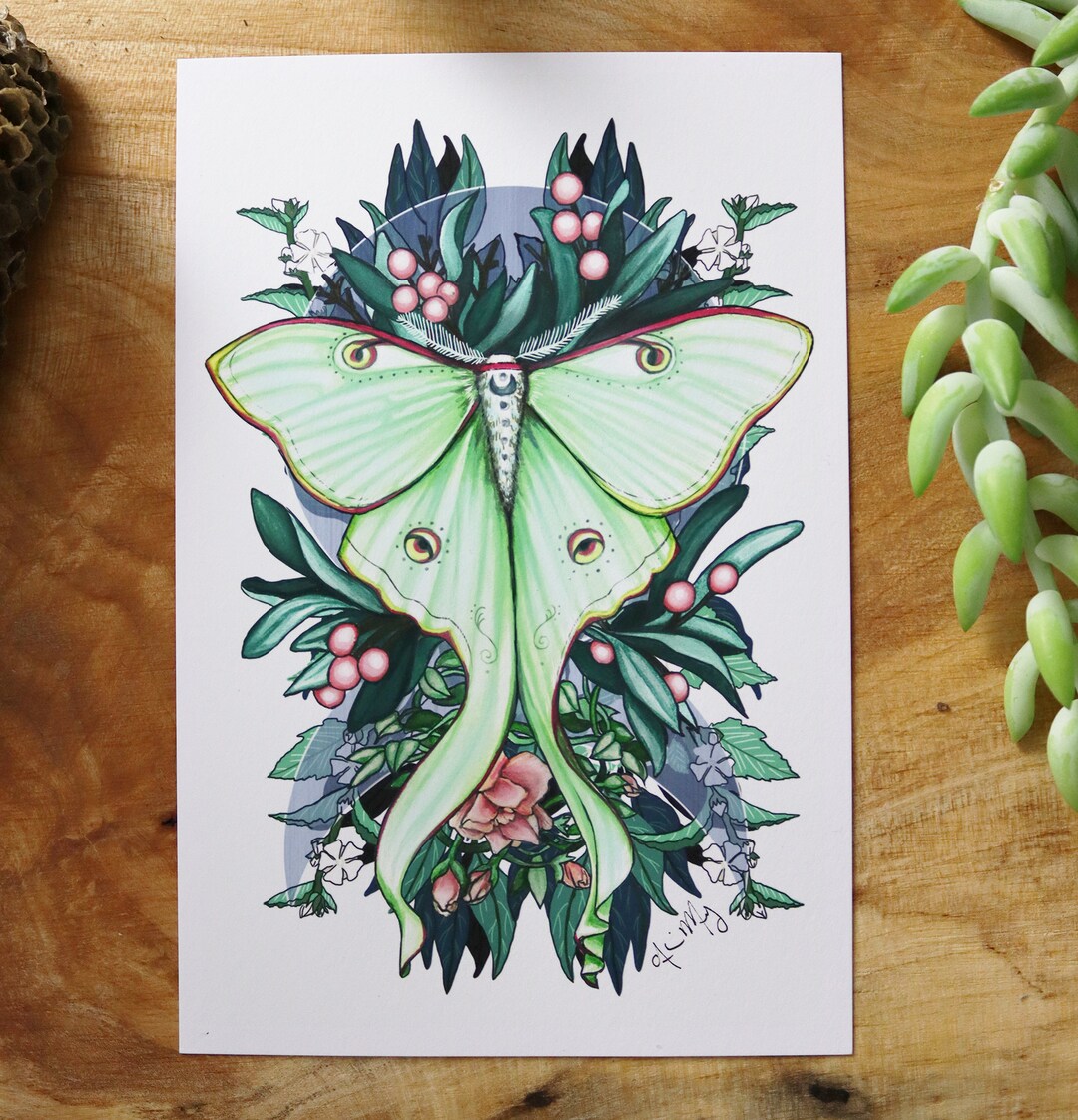 Luna Moth 4x6, 5x7 Print, Moon Moth, Lovely Detailed Artwork for Your ...