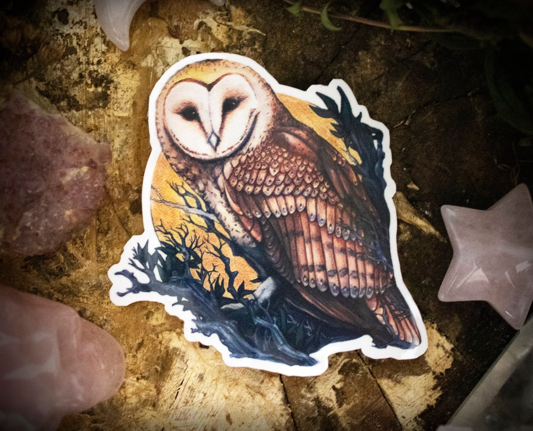 Barn Owl Sticker - High Quality Vinyl Decal Sticker for Laptops, Phones ...
