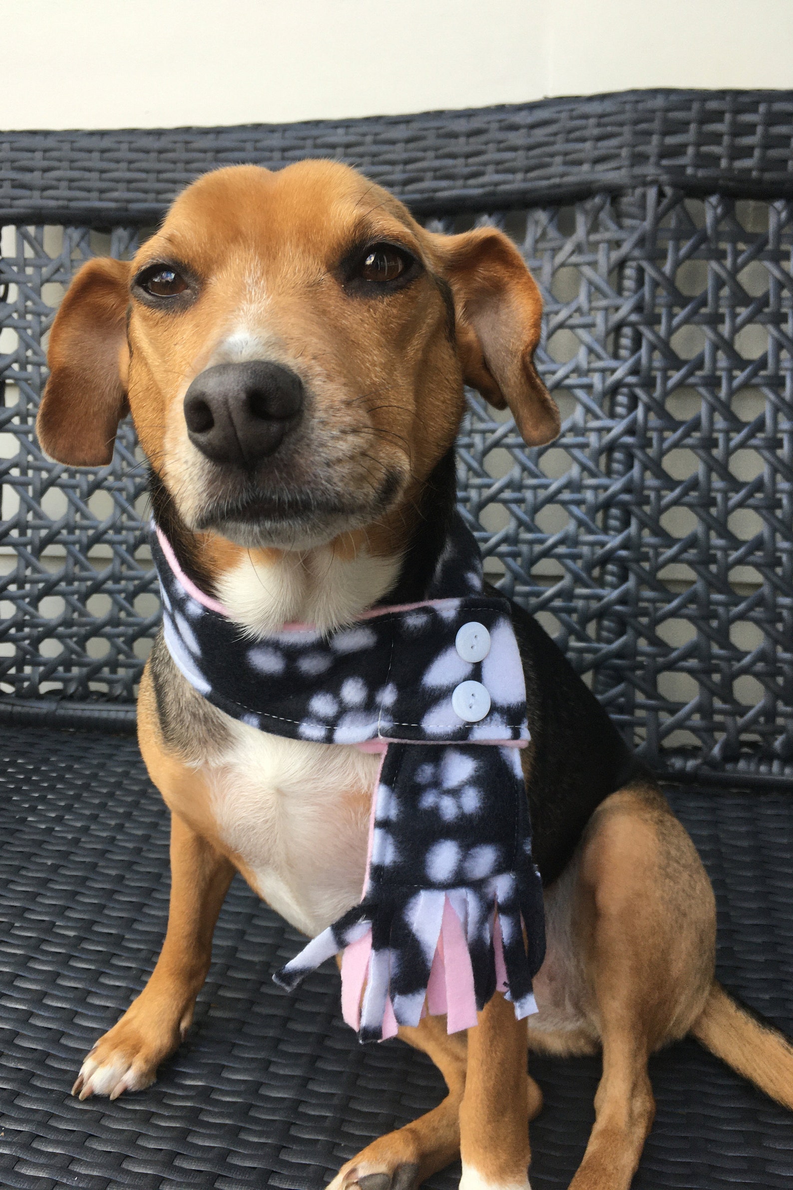 Pet Scarf Fleece Dog Scarf Dog Scarf Cat Scarf Fleece - Etsy