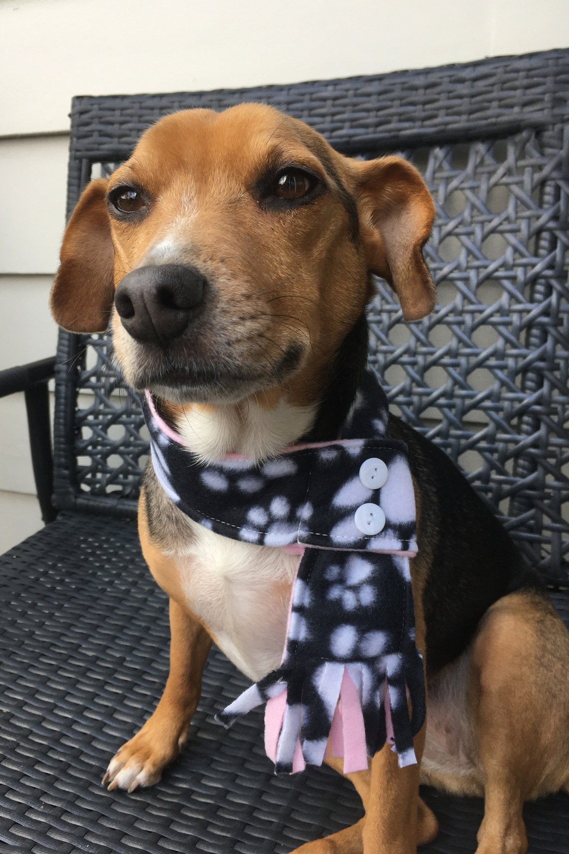 Pet Scarf Fleece Dog Scarf Dog Scarf Cat Scarf Fleece - Etsy