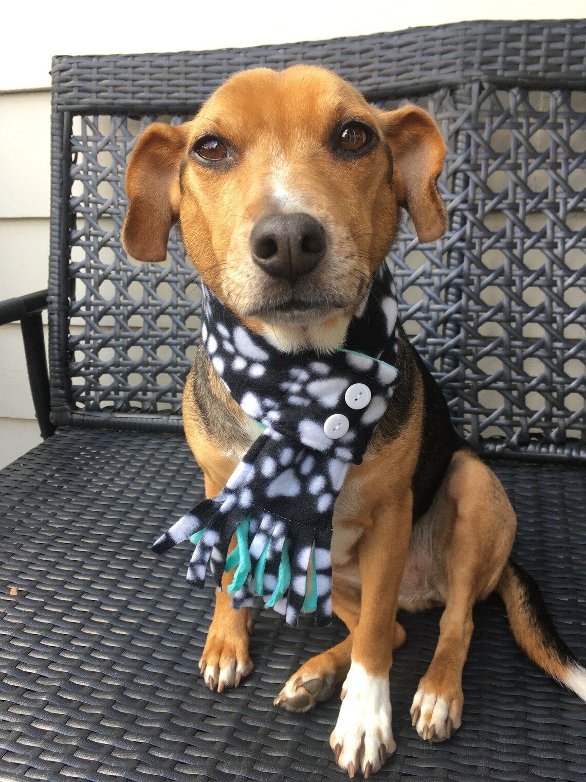 Pet Scarf Fleece Dog Scarf Dog Scarf Cat Scarf Fleece - Etsy