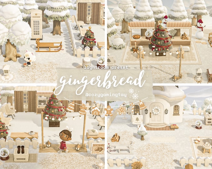 SNOW GLOBE - ACNH Winter Preset - Mobile Lightroom App - Animal ...