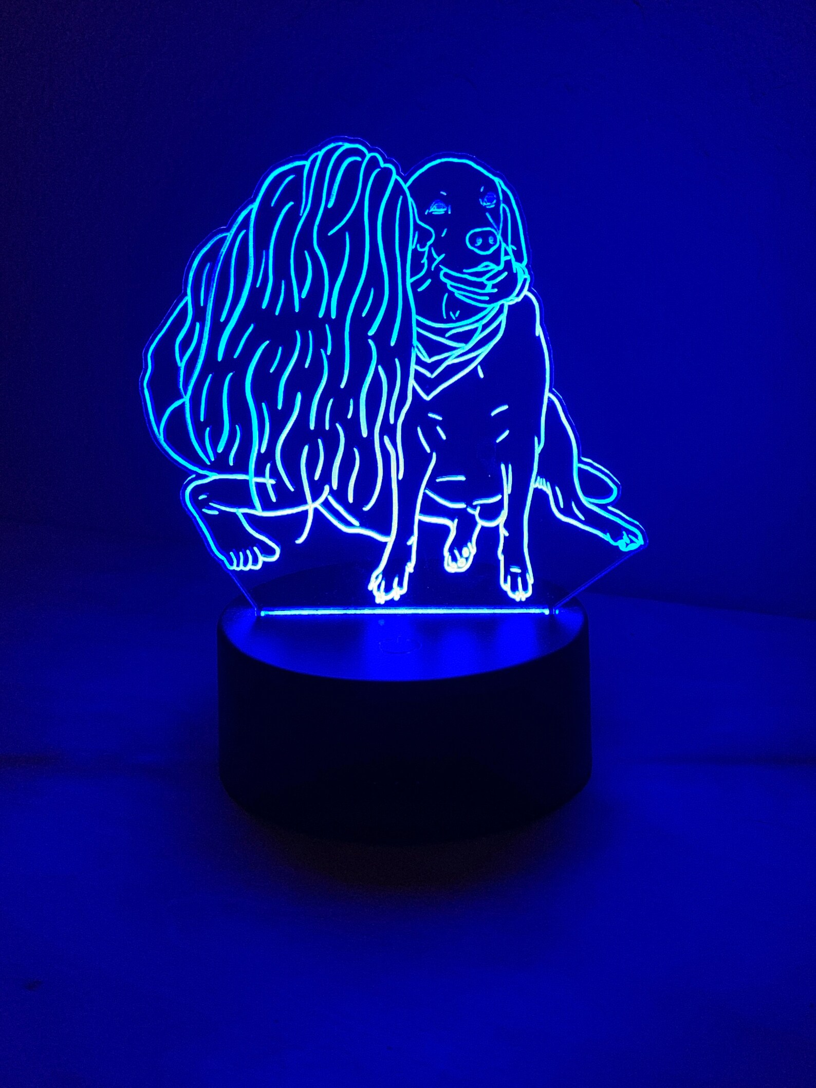 Custom LED Acrylic Light LED Sign LED Lamp - Etsy