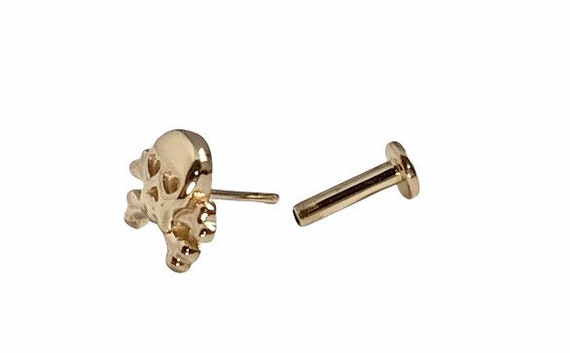 Subdermal Implant Skull