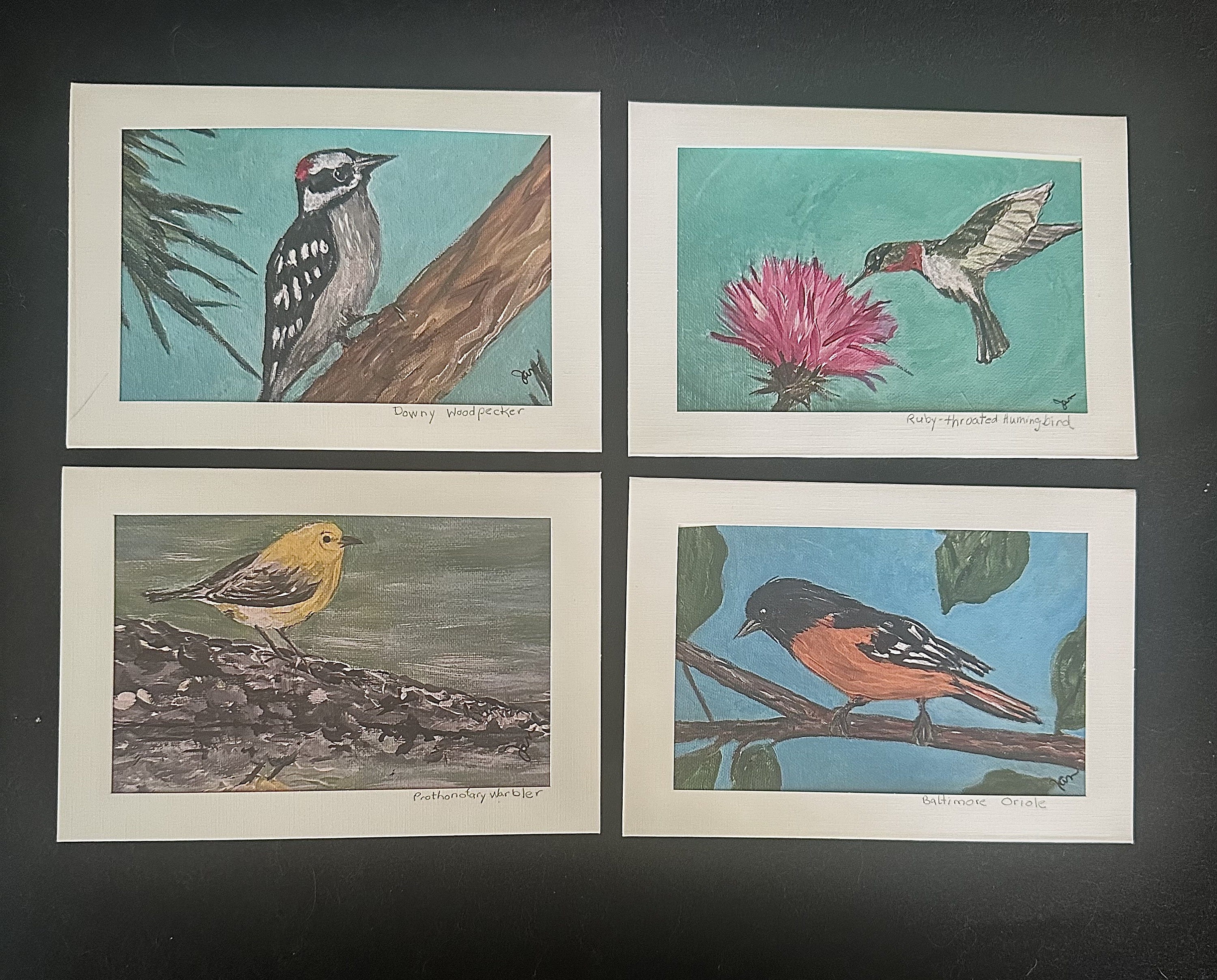 6.75 X 4.75 Note Card Set Assorted Bird Note Cards Boxed Set of 4 Note ...