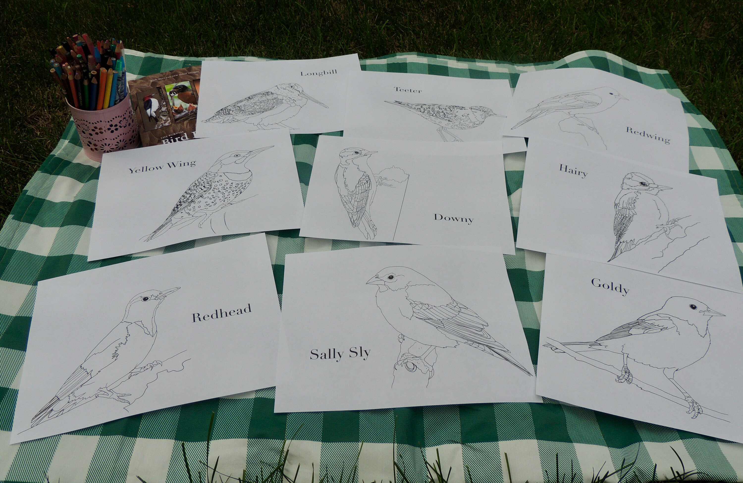 Burgess Bird Book Coloring Pages Chapters 1-12 - Etsy