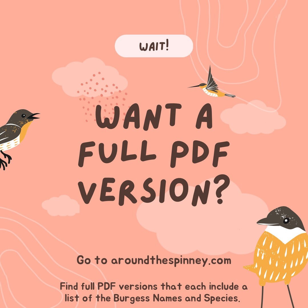 Burgess Bird Book Coloring Pages Chapters 1-12 - Etsy