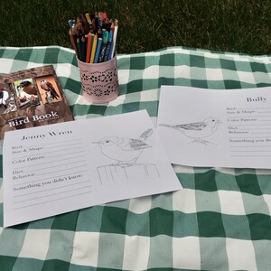 Burgess Bird Book Coloring Pages Chapters 1-12 - Etsy