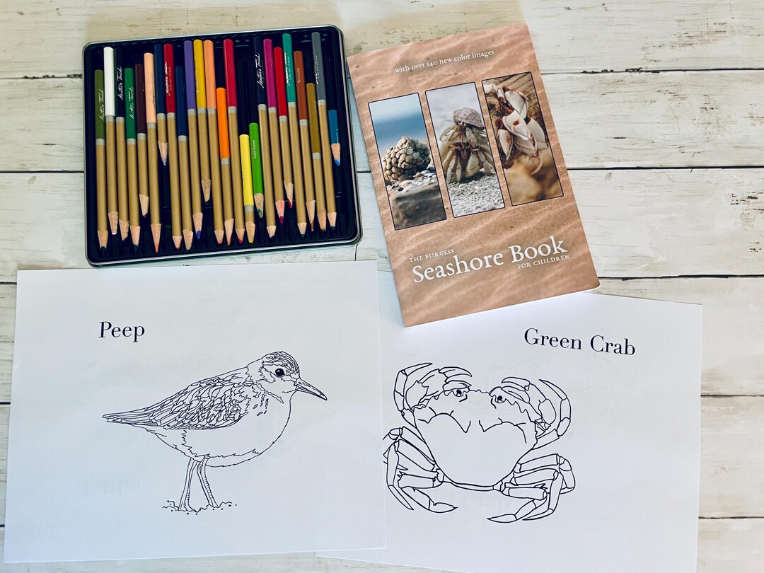 Burgess Seashore Book Coloring Pages Chapters 1-12 - Etsy