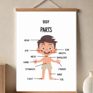 16 Montessori Educational Posters - Toddler and Preschool Printable for ...