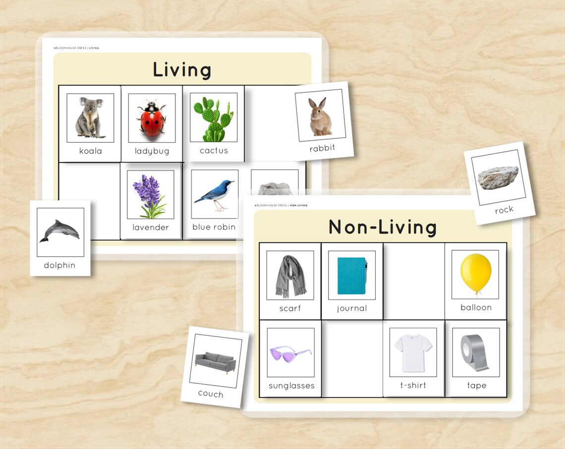Color Sorting & Living Non-Living Montessori Sorting Sheets | Etsy