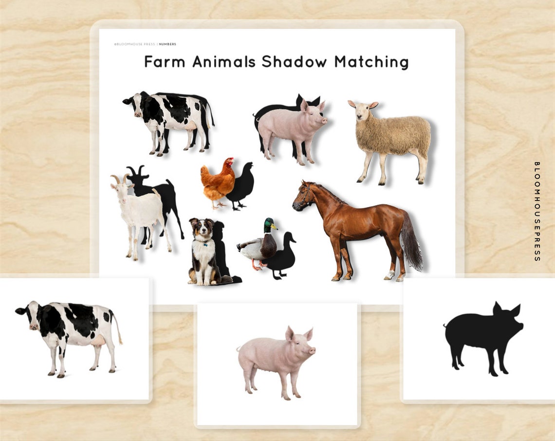 Farm Animals Shadow Silhouette Matching Worksheet & Cards - Etsy