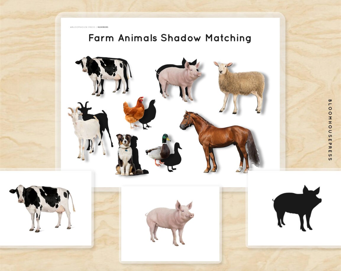 Farm Animals Shadow Silhouette Matching Worksheet & Cards - Etsy