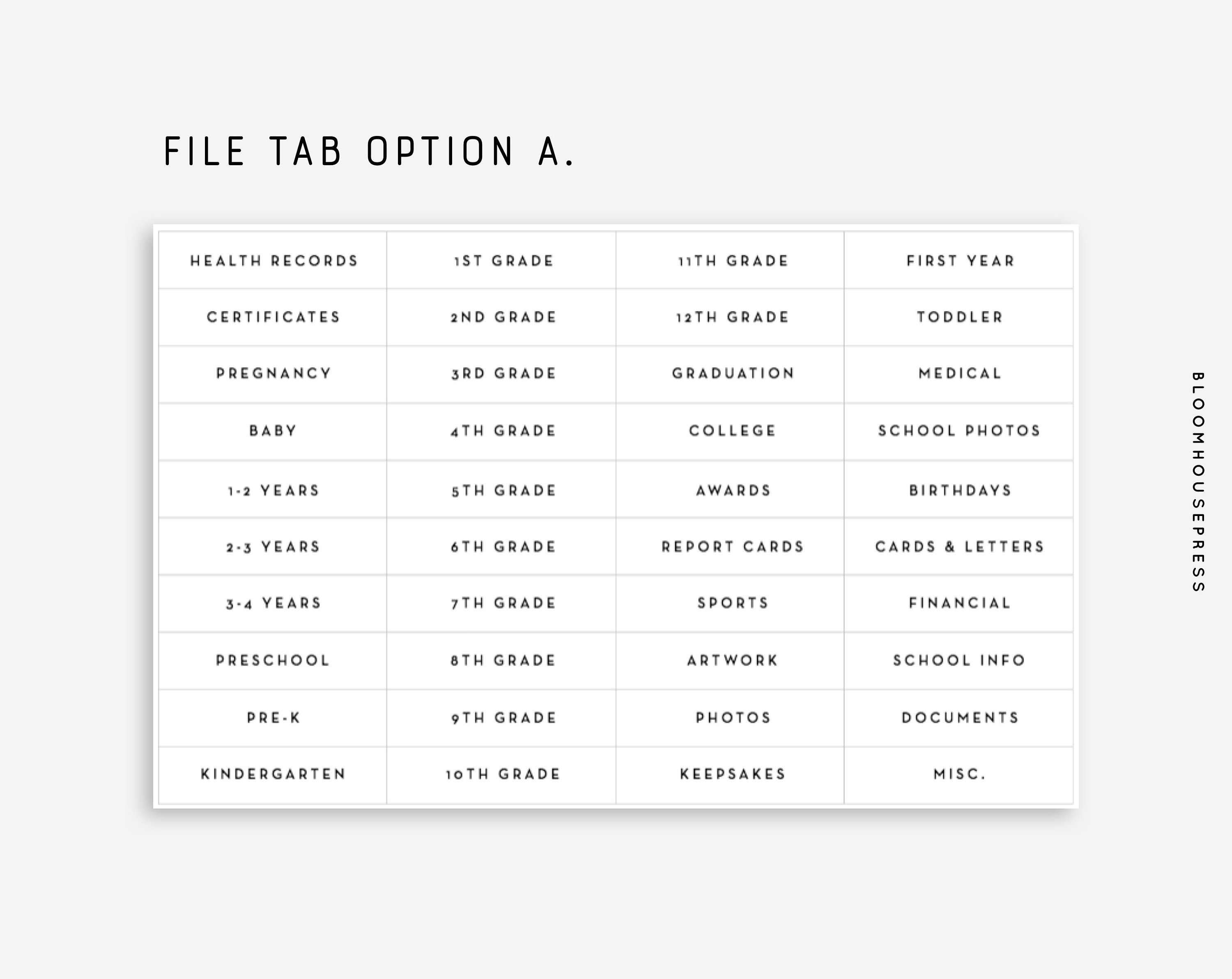 Editable File Tab Labels: Milestone Filing System (PDF) - Etsy
