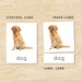 Montessori Animals 3 Part Cards Vocabulary 24 Animals Flashcards ...