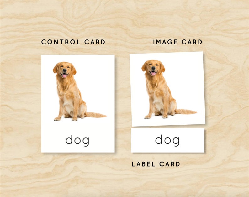 Montessori Animals 3 Part Cards Vocabulary 24 Animals | Etsy