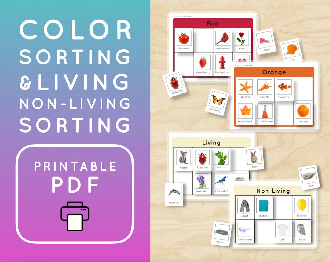 Montessori Color & Living Non-living Sorting Sheets (PDF) - Etsy