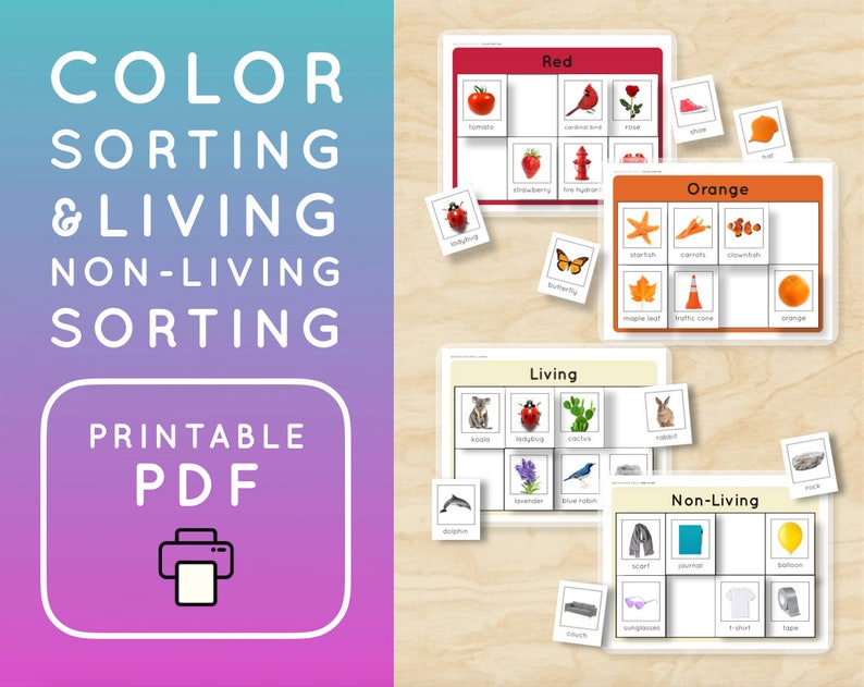 Color Sorting & Living Non-living Montessori Sorting Sheets - Etsy