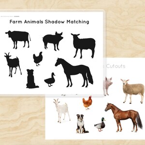 Farm Animals Shadow Silhouette Matching Worksheet & Cards Visual ...