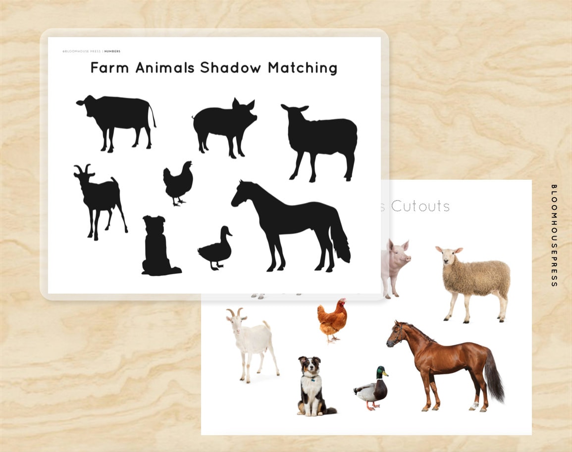 Farm Animals Shadow Silhouette Matching Worksheet & Cards - Etsy