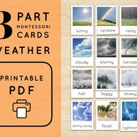 Montessori Around the World 3 Part Cards Digital PDF Download Printable ...