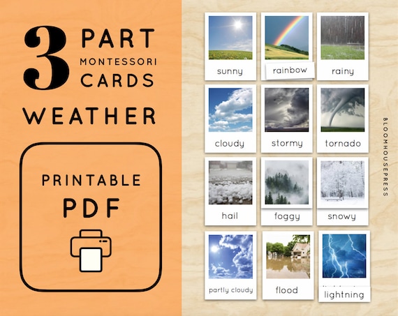 Montessori Weather 3 Part Cards Vocabulary Nomenclature 12 - Etsy