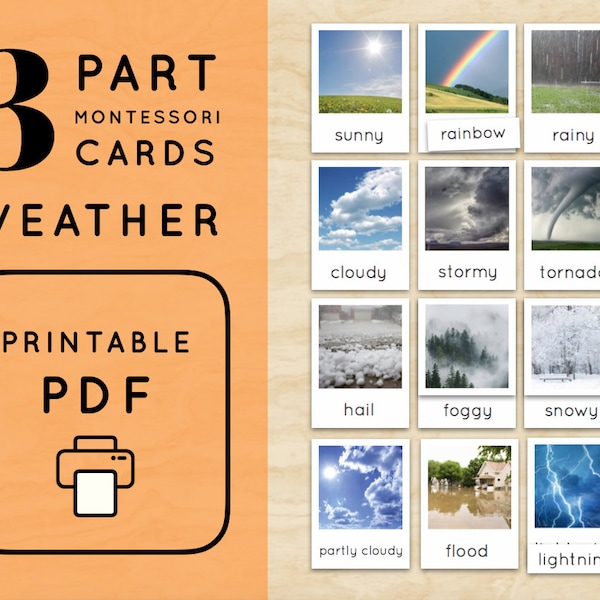 Montessori Weather - Etsy