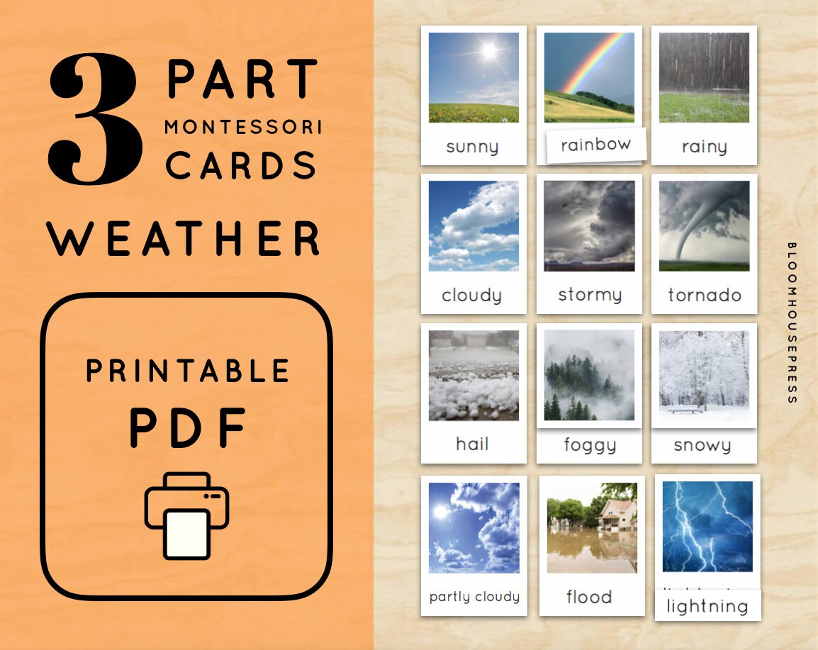Montessori Weather 3 Part Cards Vocabulary Nomenclature 12 - Etsy